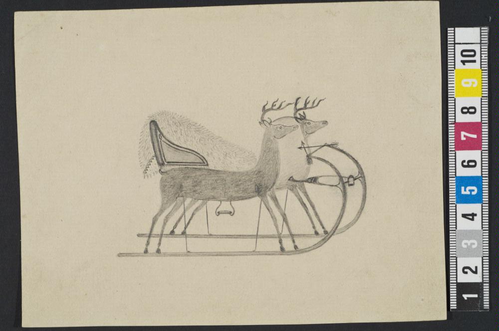 Carlotta - Digital bild